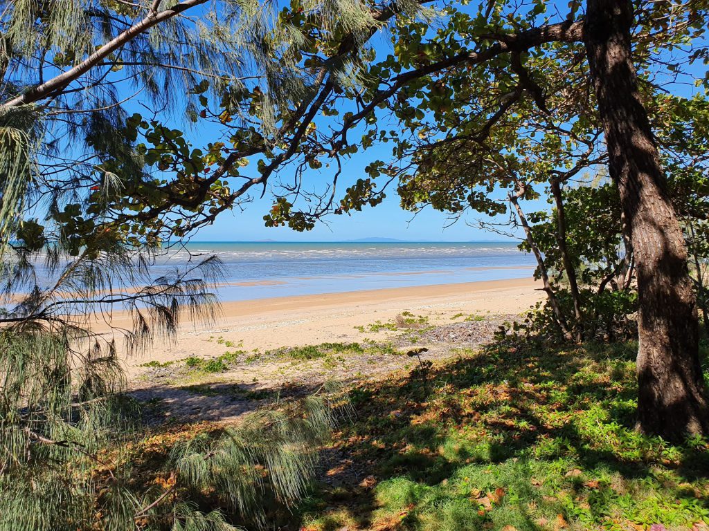 Balgal Beach - The Bus